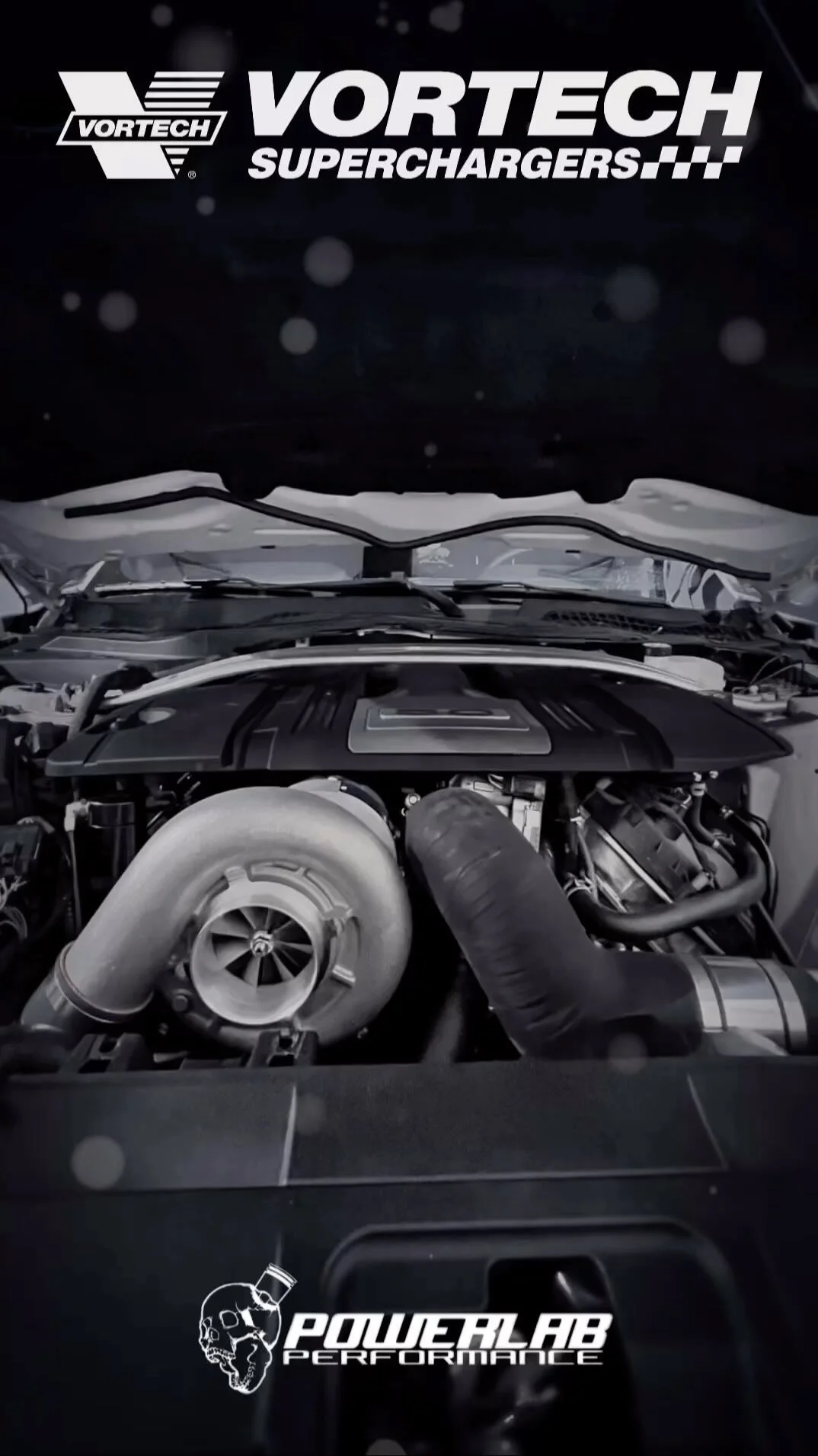 Gallery — powerlabperformance.com