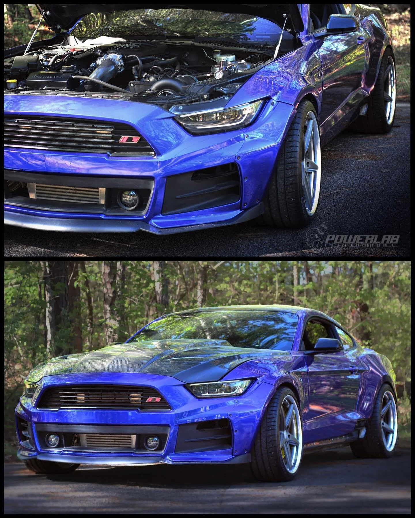 Gallery — powerlabperformance.com