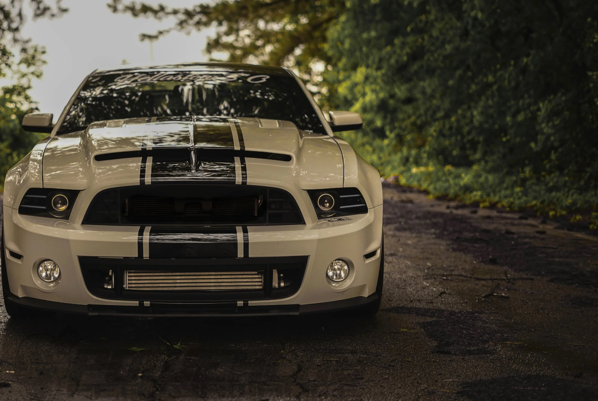 Coyote Mustang Performance Solutions — powerlabperformance.com