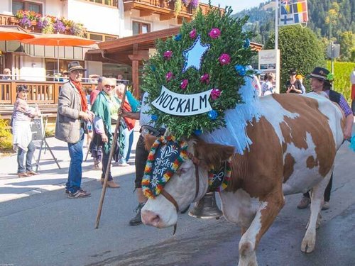 Almabtrieb - the cutest cow festival in Tirol