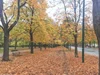 Where to live in Vienna. Your epic guide to Vienna's Districts.