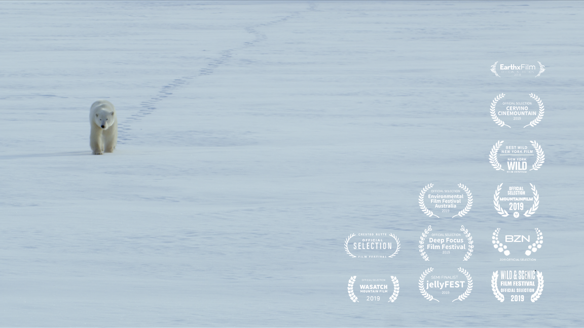 Entertainment — Stept Studios