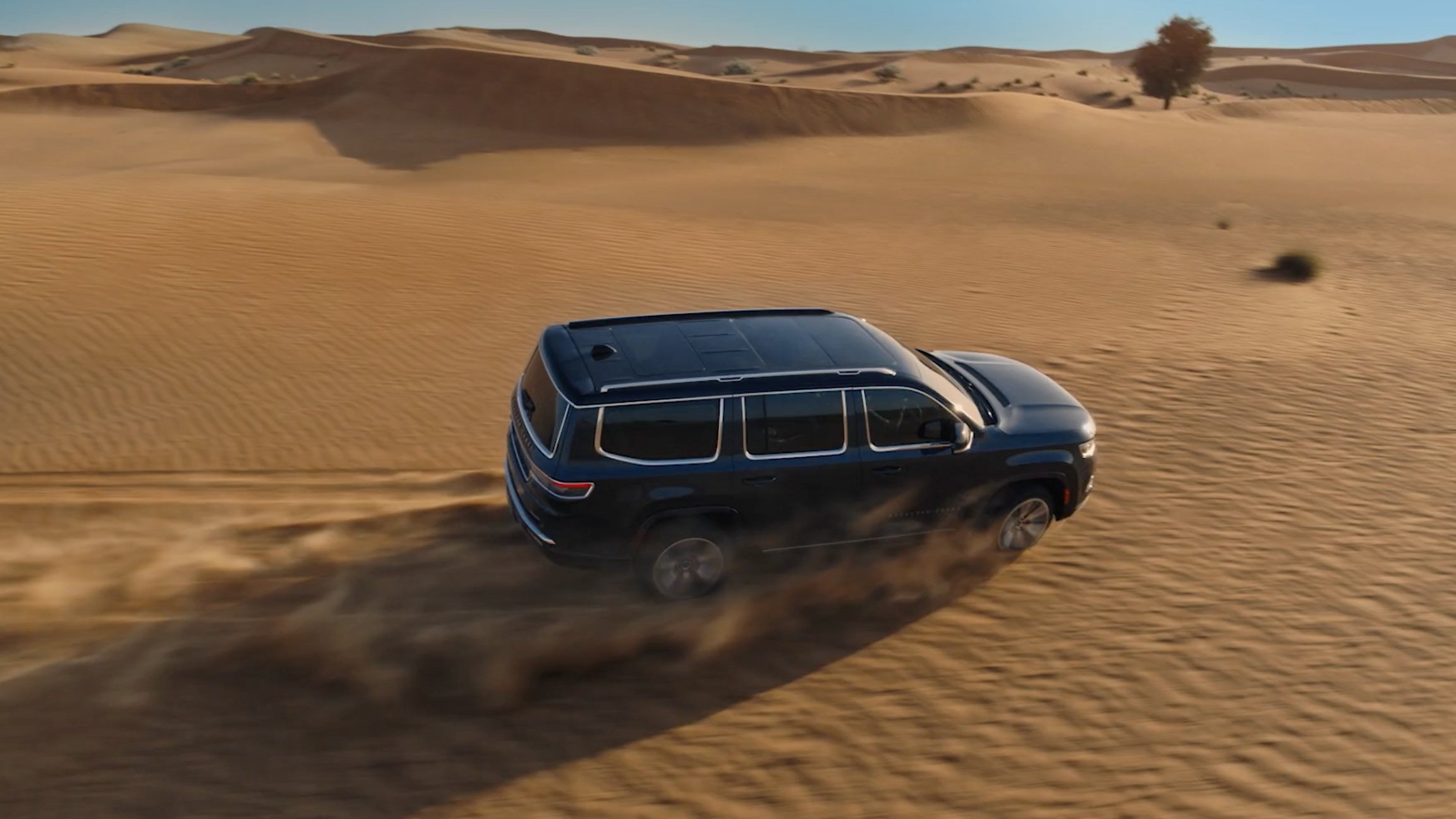 Directors — Stept Studios