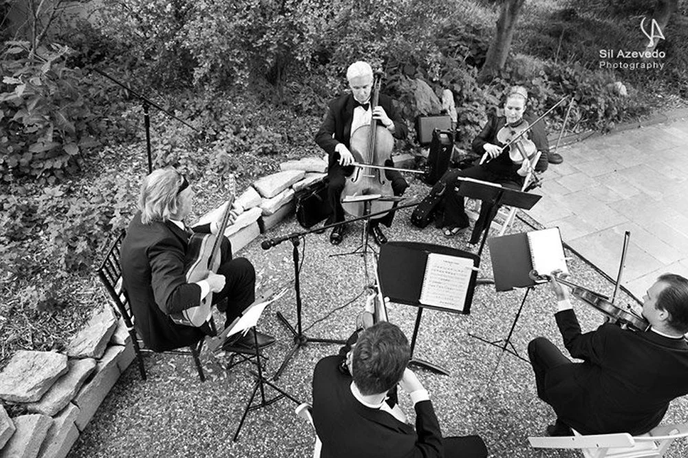 Once Upon A Time... Storybook Love, part 2 — Gyros String Quartet