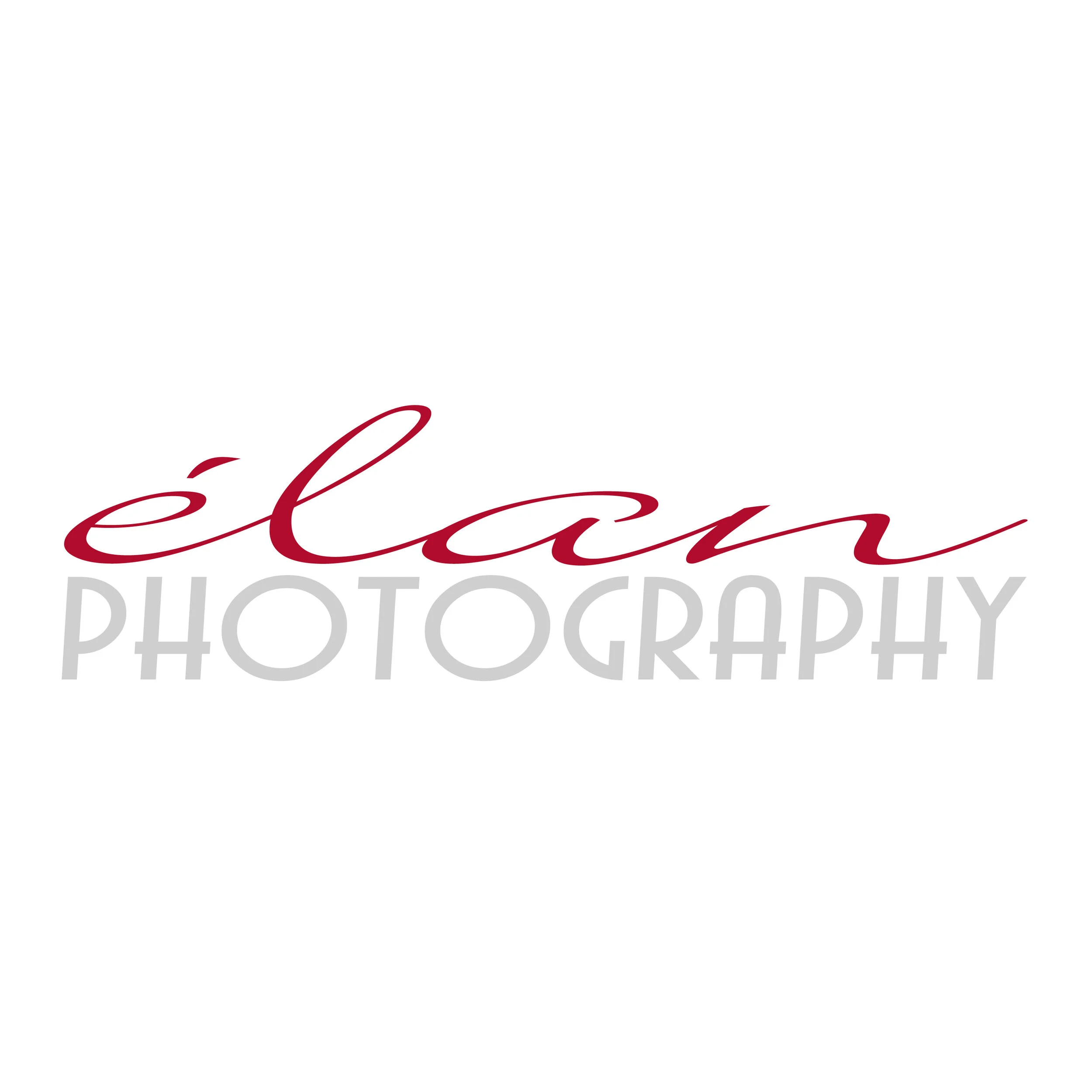 Elan Logo