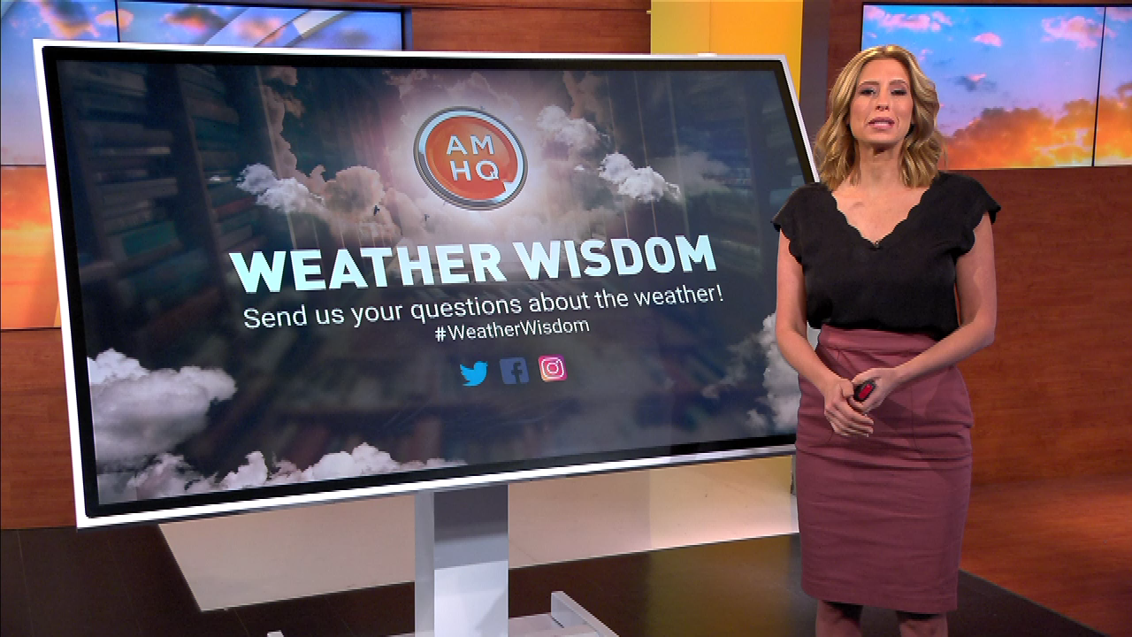 Stephanie Abrams (2/28/2020) — Newswomen