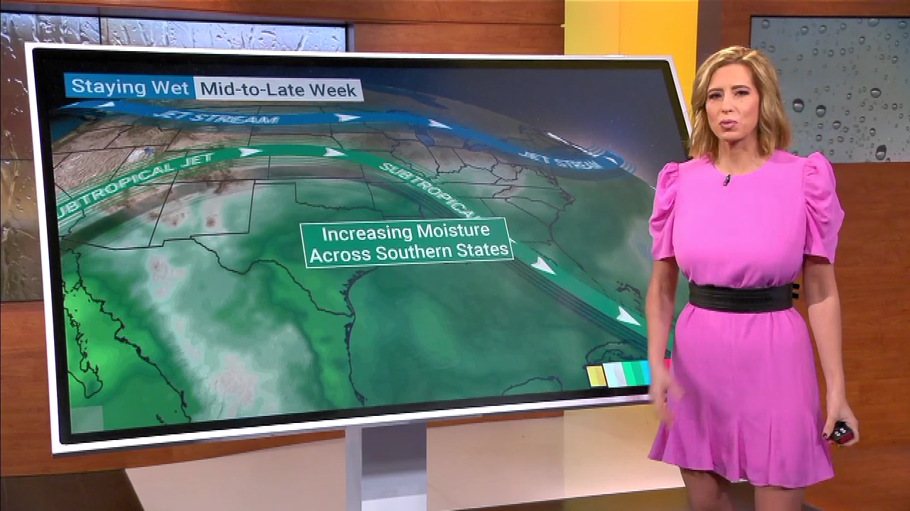 Stephanie Abrams (3/11/2020) — Newswomen