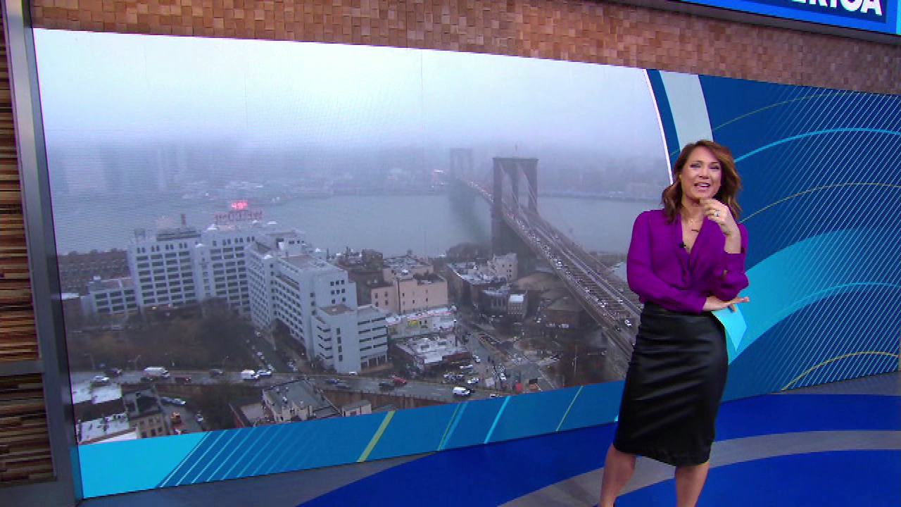 Ginger Zee (3/13/2020) — Newswomen