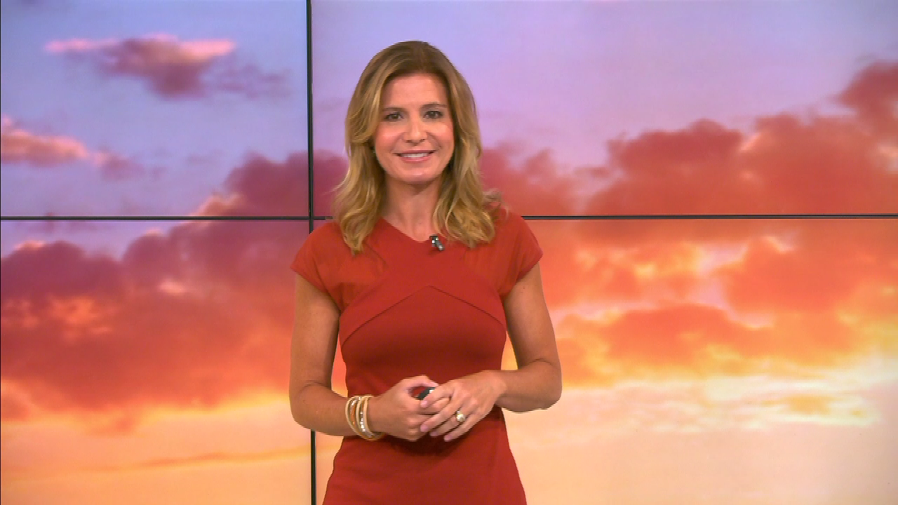 Jen Carfagno (6/22/2020) — Newswomen