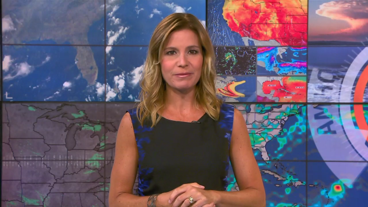 Jen Carfagno (6/24/2020) — Newswomen