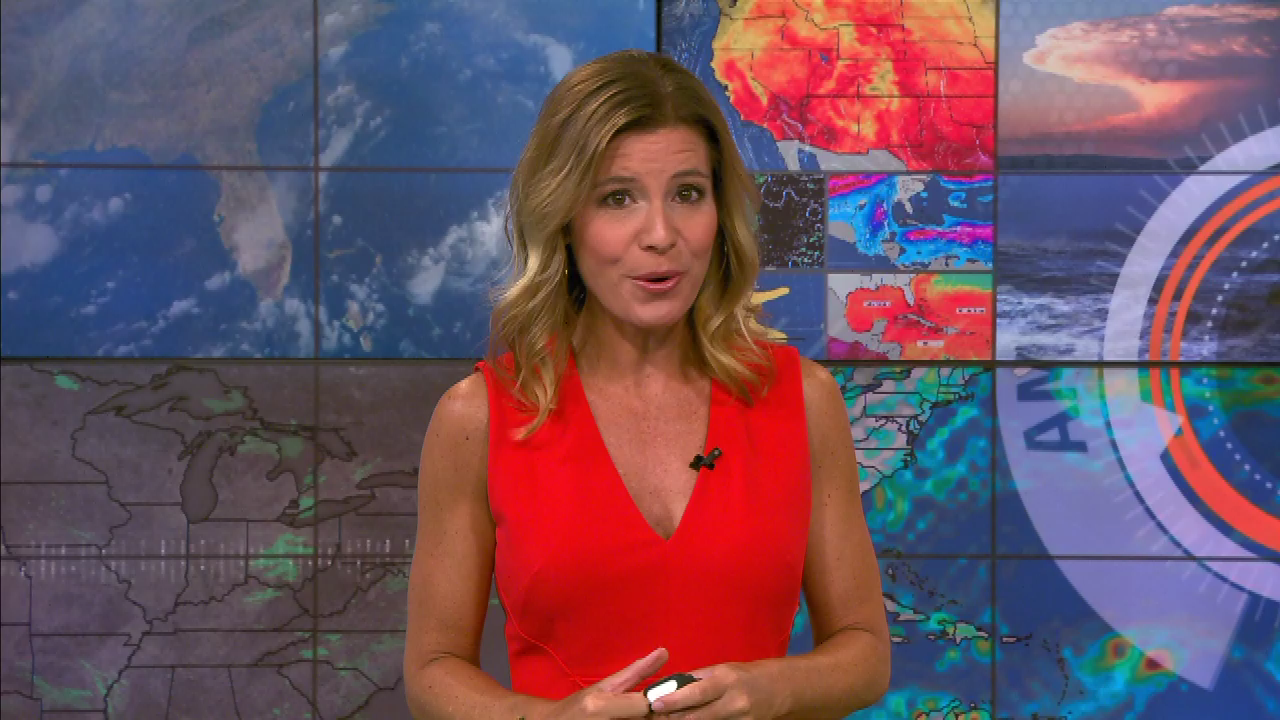 Jen Carfagno (6/25/2020) — Newswomen