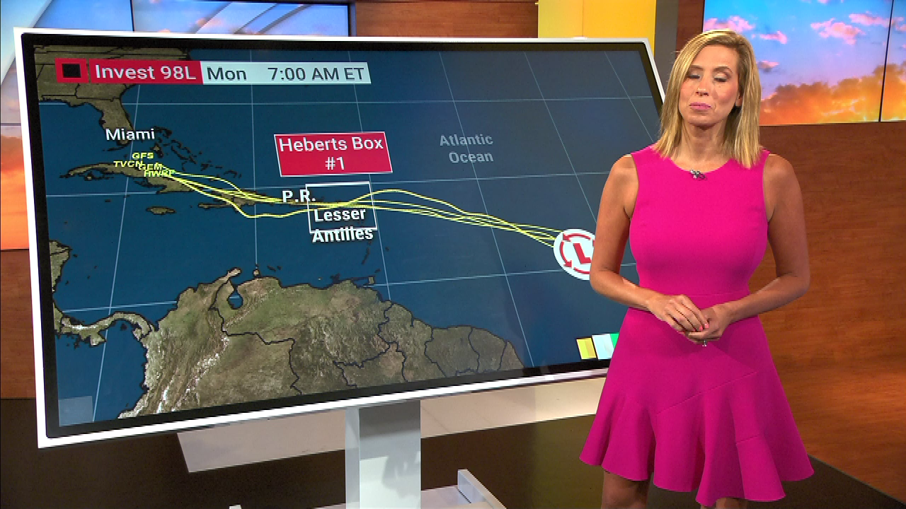 Stephanie Abrams (8/19/2020) — Newswomen