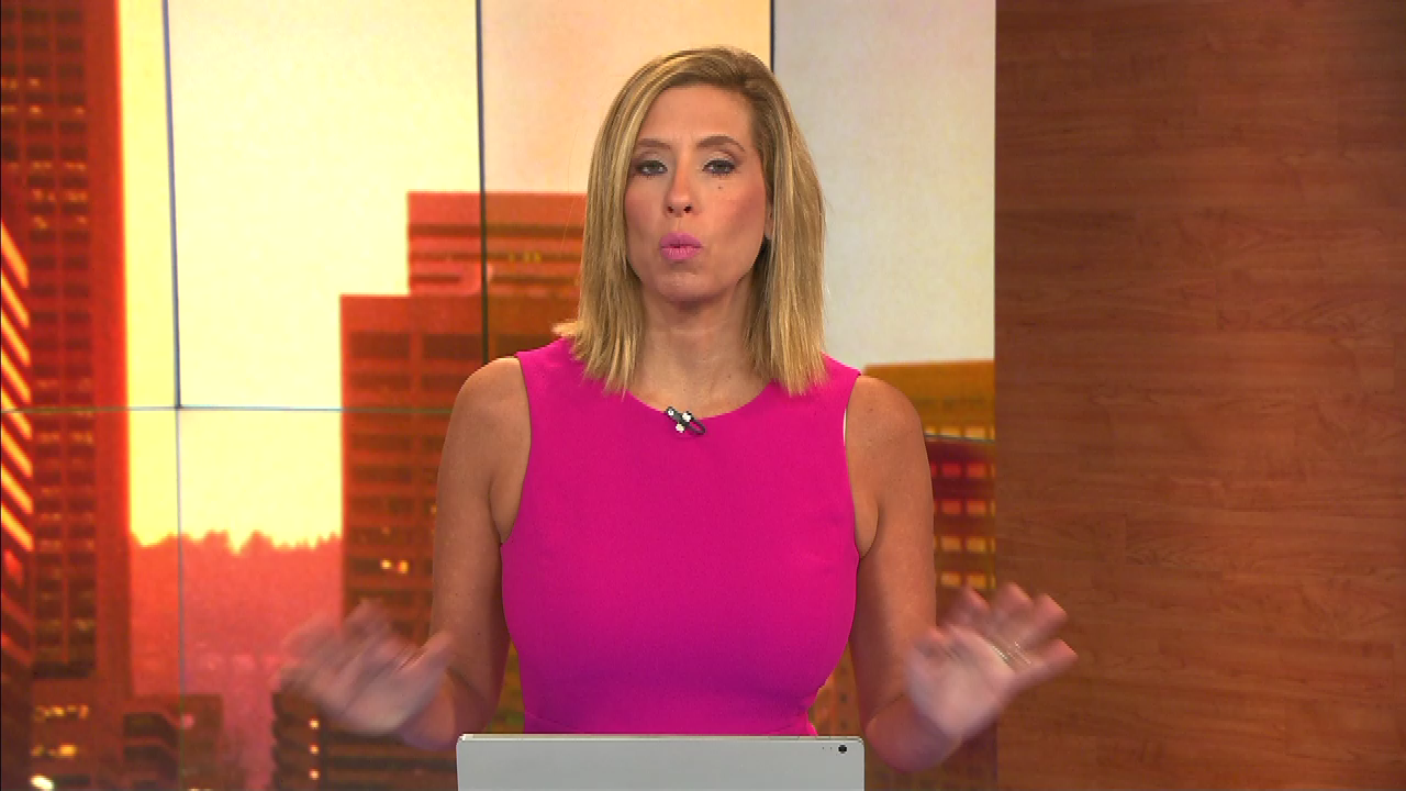 Stephanie Abrams (8/19/2020) — Newswomen