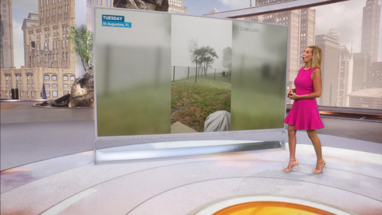 Stephanie Abrams (8/19/2020) — Newswomen
