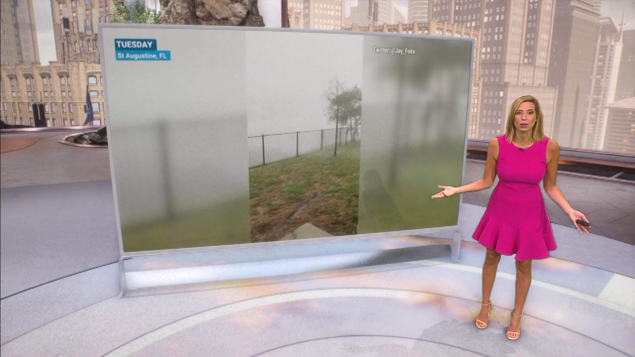 Stephanie Abrams (8/19/2020) — Newswomen