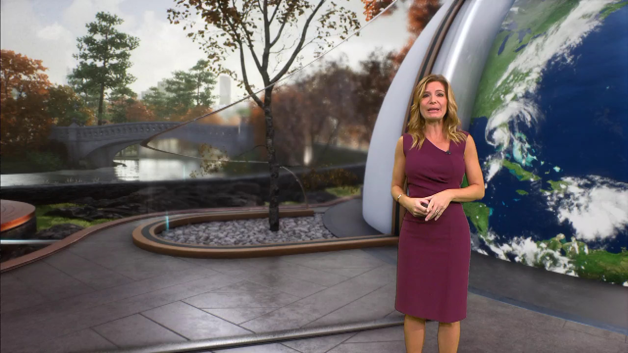 Jen Carfagno (11/12/2020) — Newswomen