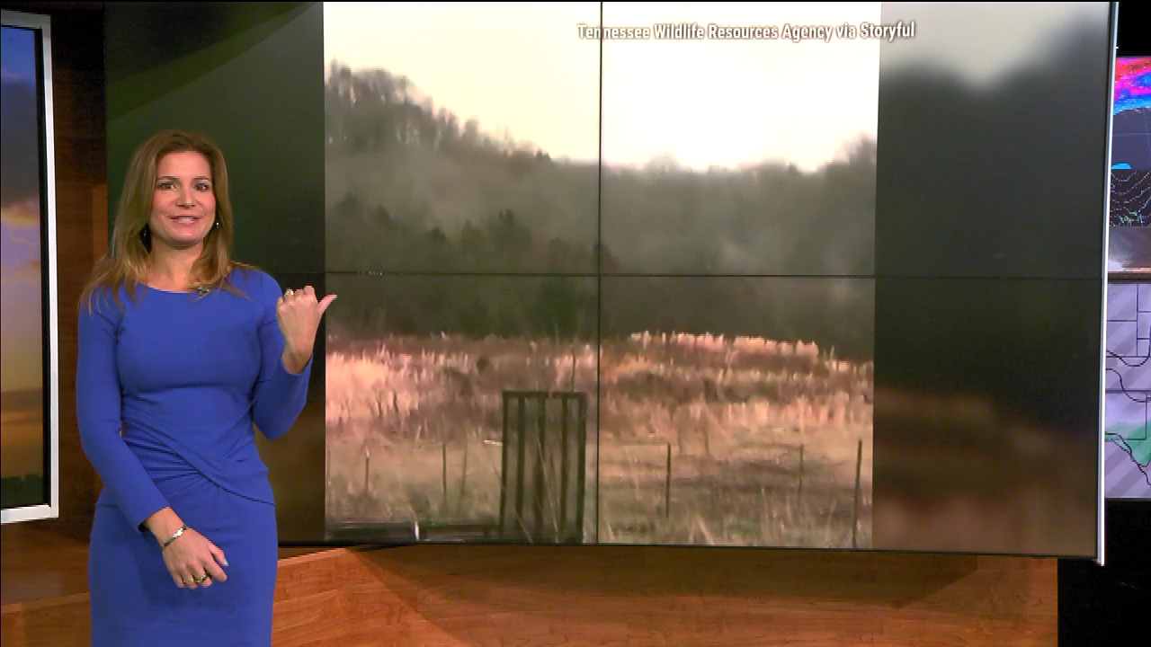 Jen Carfagno (3/30/2021) — Newswomen