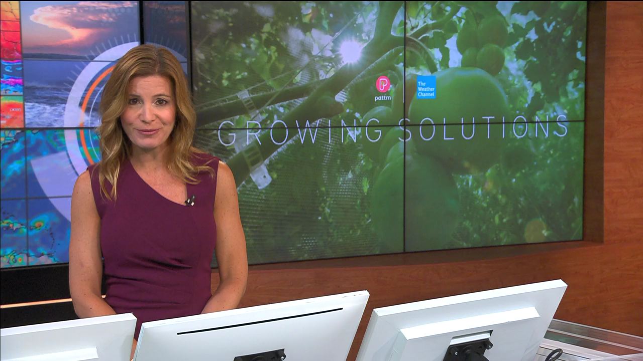 Jen Carfagno (5/17/2021) — Newswomen