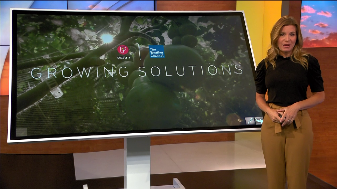 Jen Carfagno (5/20/2021) — Newswomen