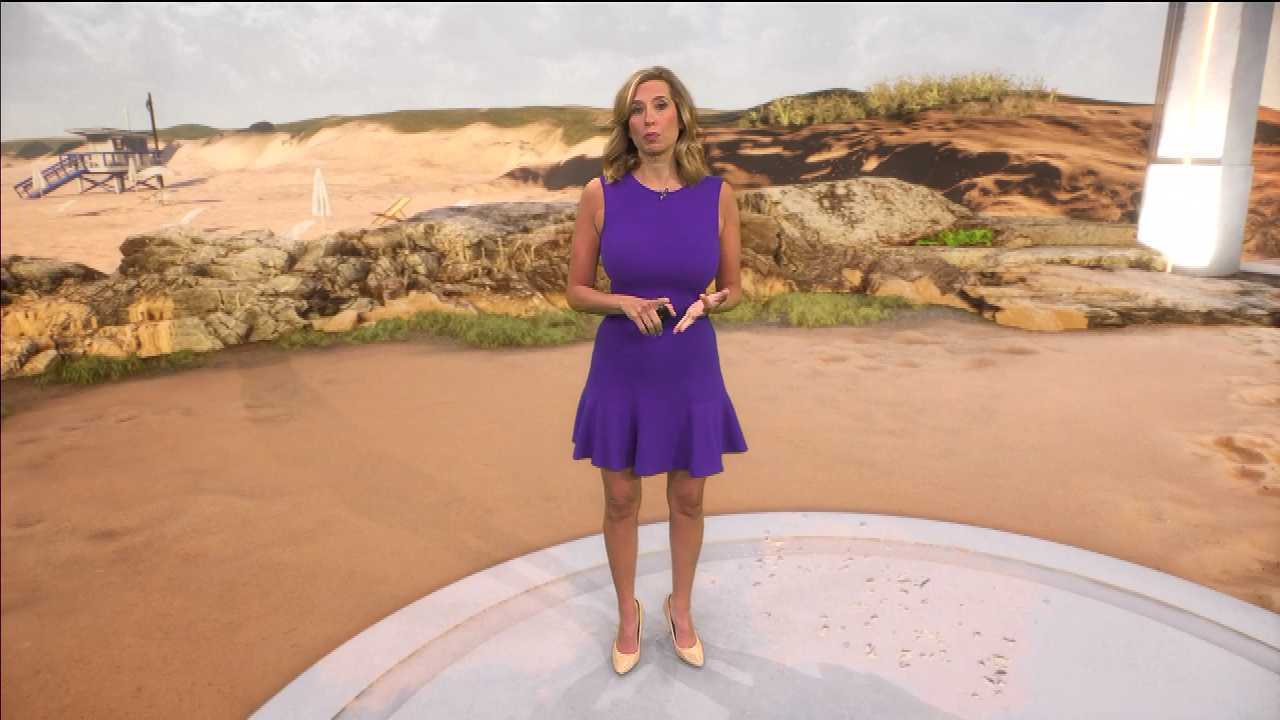 Stephanie Abrams (5/26/2021) — Newswomen