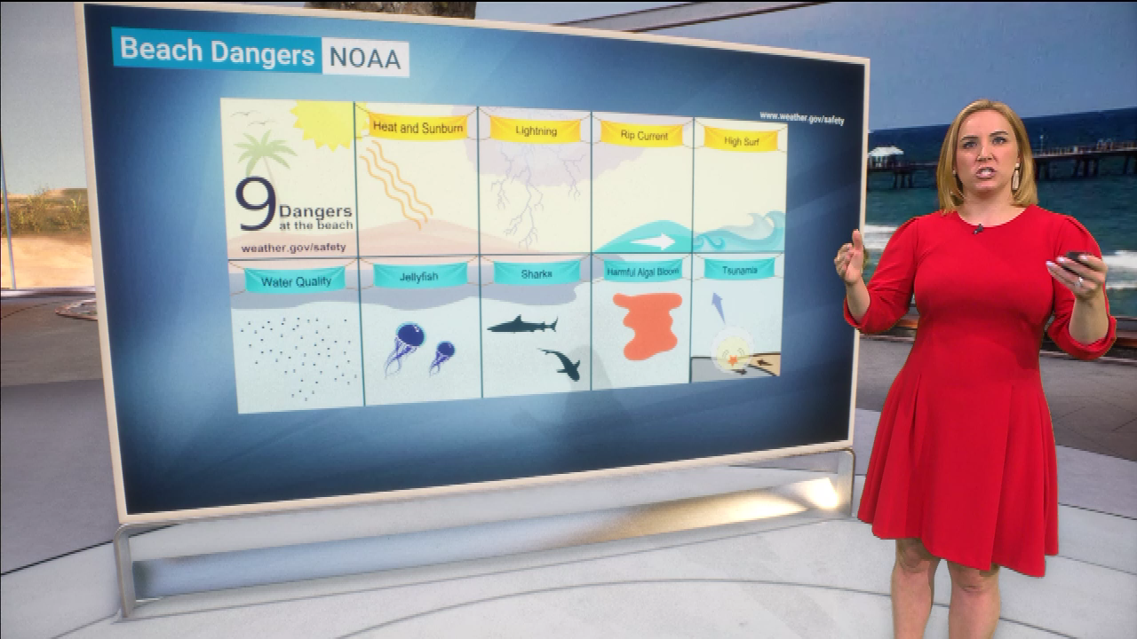 Alex Wilson (5/31/2021) — Newswomen