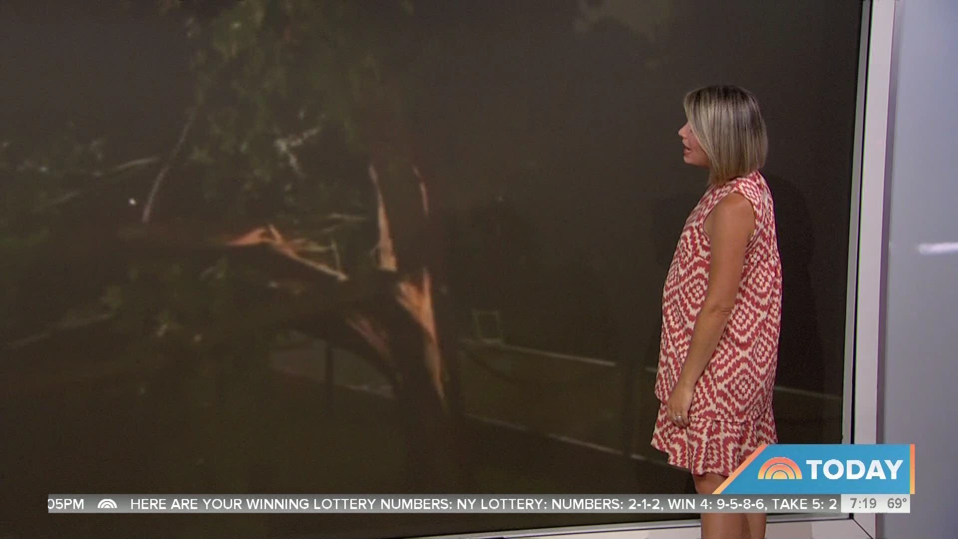 Dylan Dreyer (7/2/2021) — Newswomen