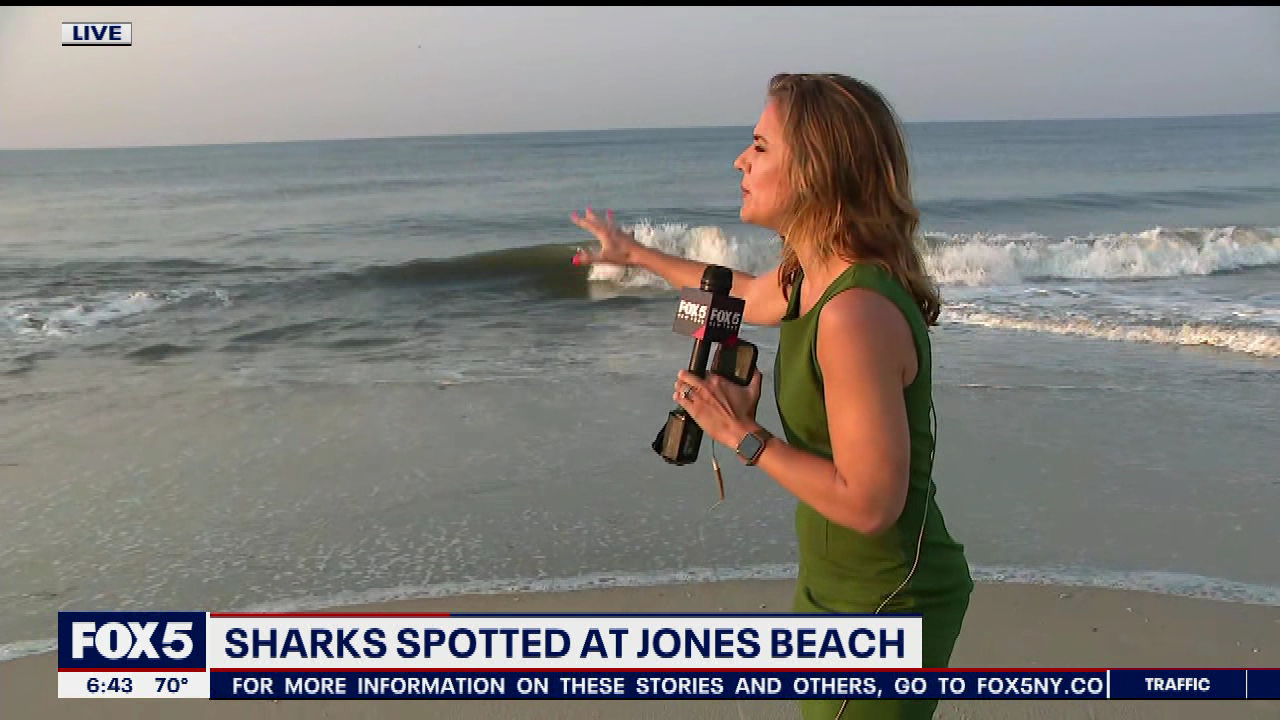 Raegan Medgie (7/28/2021) — Newswomen