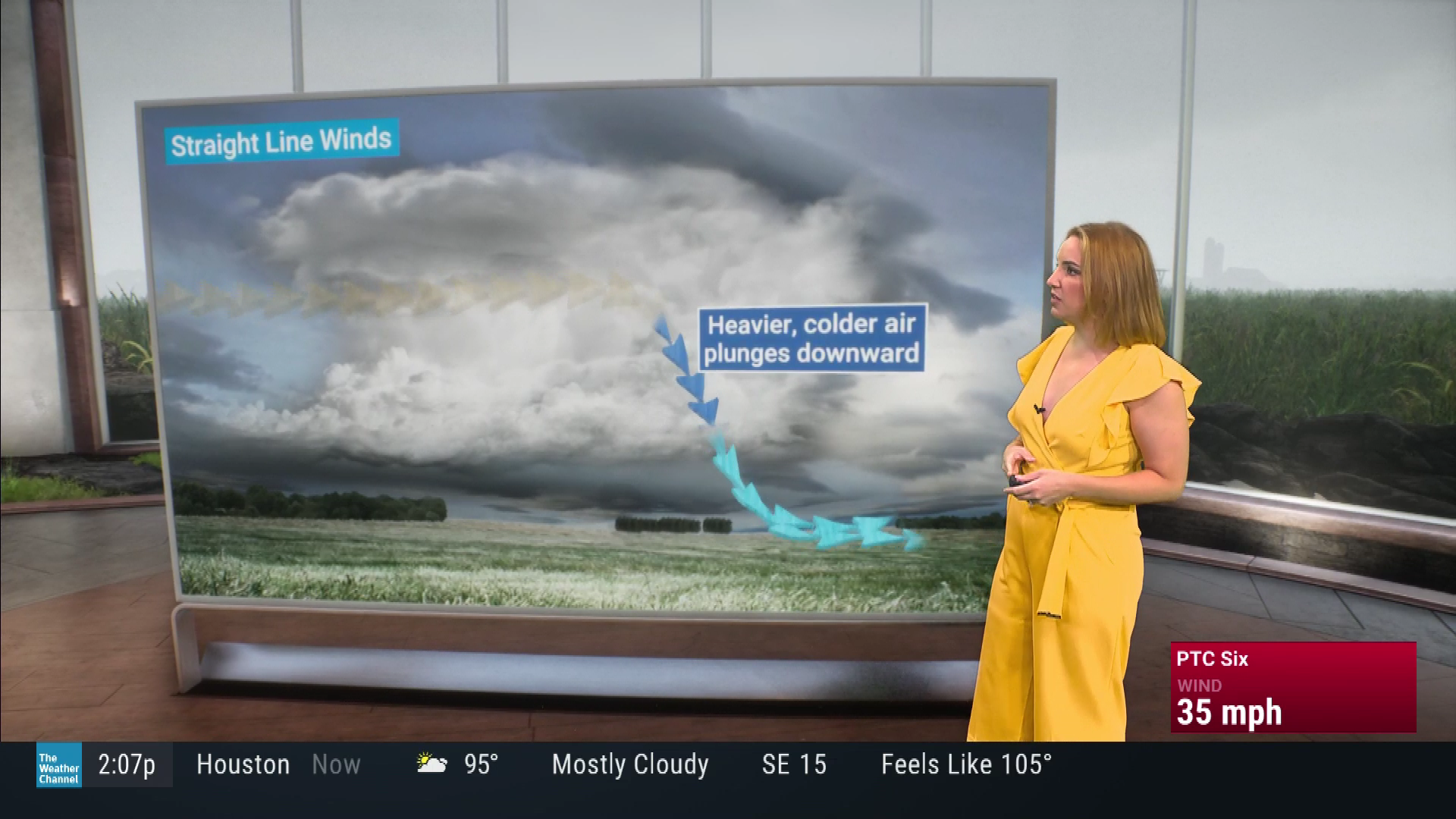 Alex Wilson (8/10/2021) — Newswomen