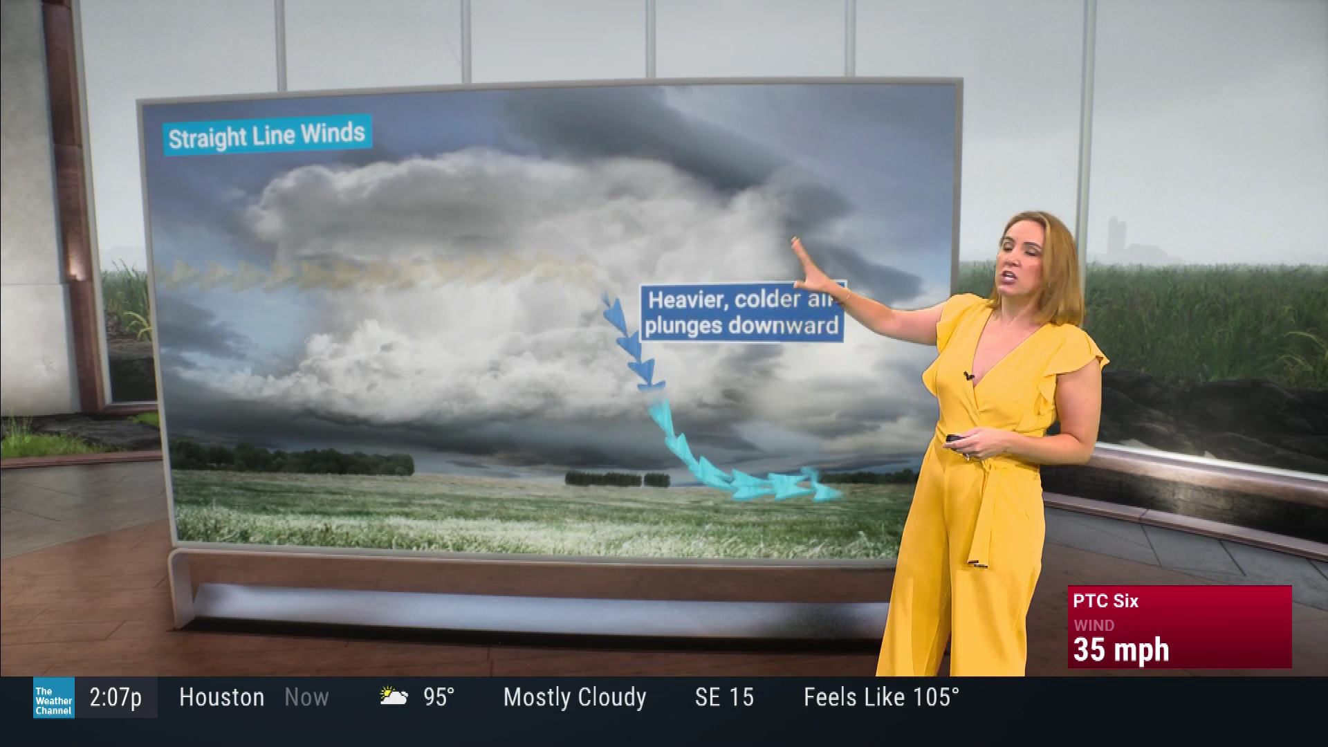 Alex Wilson (8/10/2021) — Newswomen