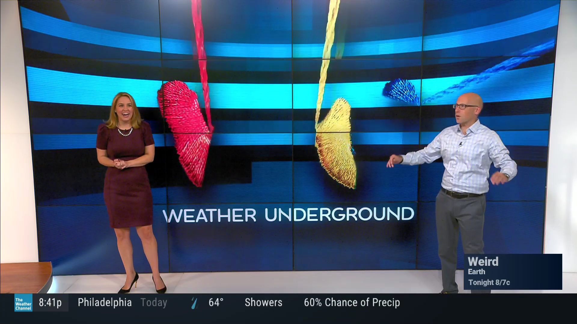 Alex Wilson (12/6/2021) — Newswomen