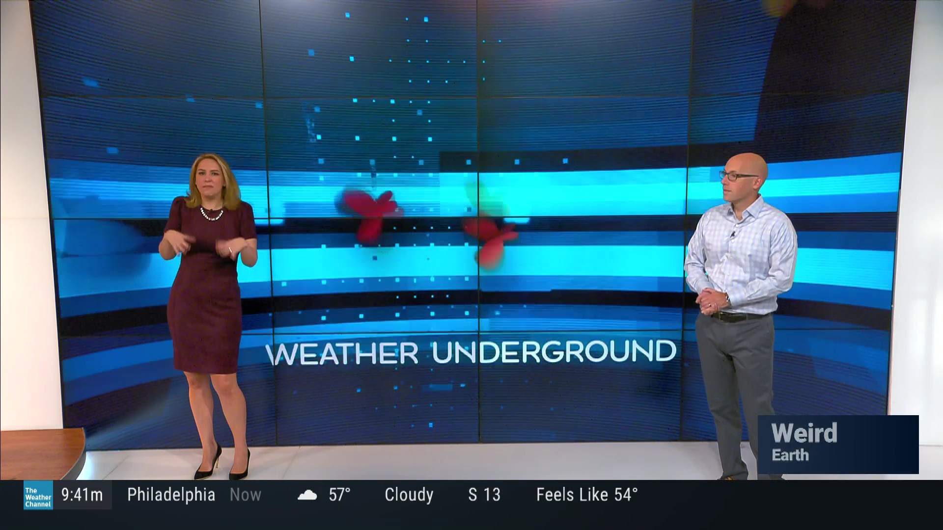 Alex Wilson (12/6/2021) — Newswomen