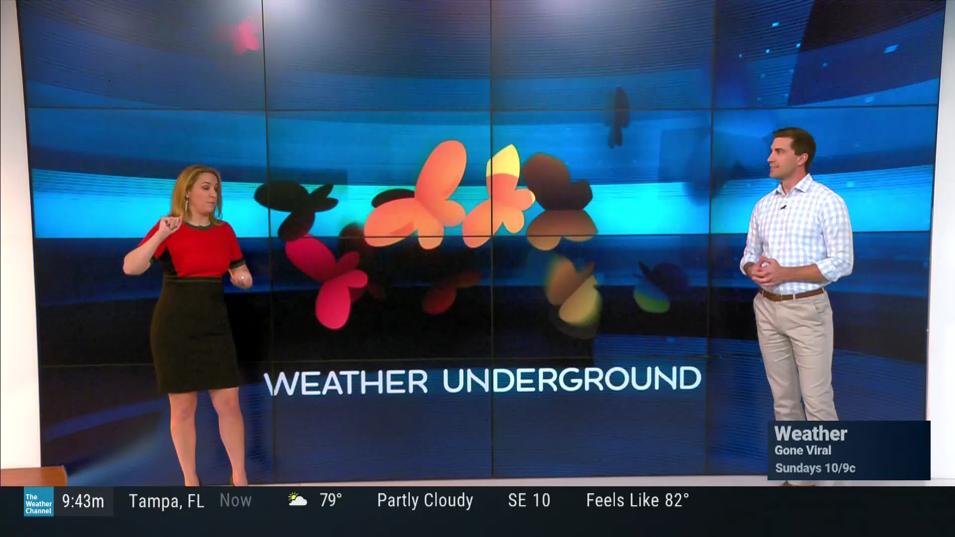 Alex Wilson (12/17/2021) — Newswomen