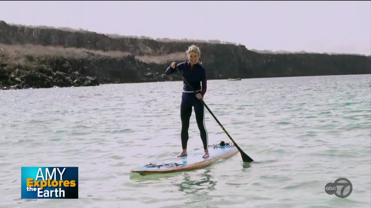 Amy Robach (2/25/2022) — Newswomen