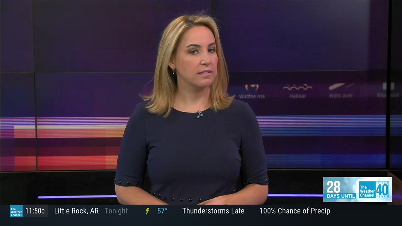 Alex Wilson (4/4/2022) — Newswomen