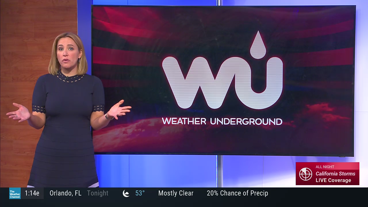 Alex Wilson (1/9/2023) — Newswomen