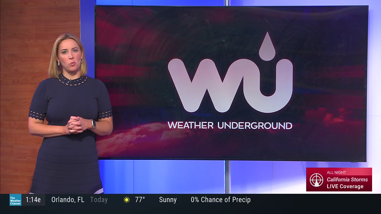 Alex Wilson (1/9/2023) — Newswomen