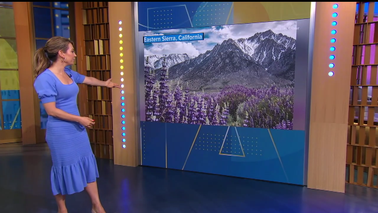 Ginger Zee (5/24/2023) — Newswomen