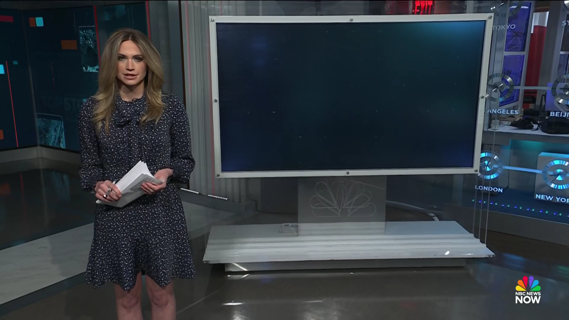 Ellison Barber (3/20/2024) — Newswomen