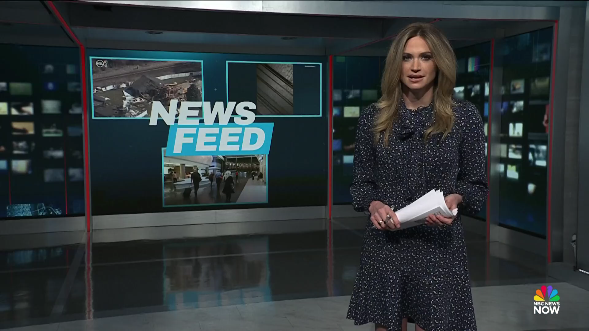 Ellison Barber (3/20/2024) — Newswomen