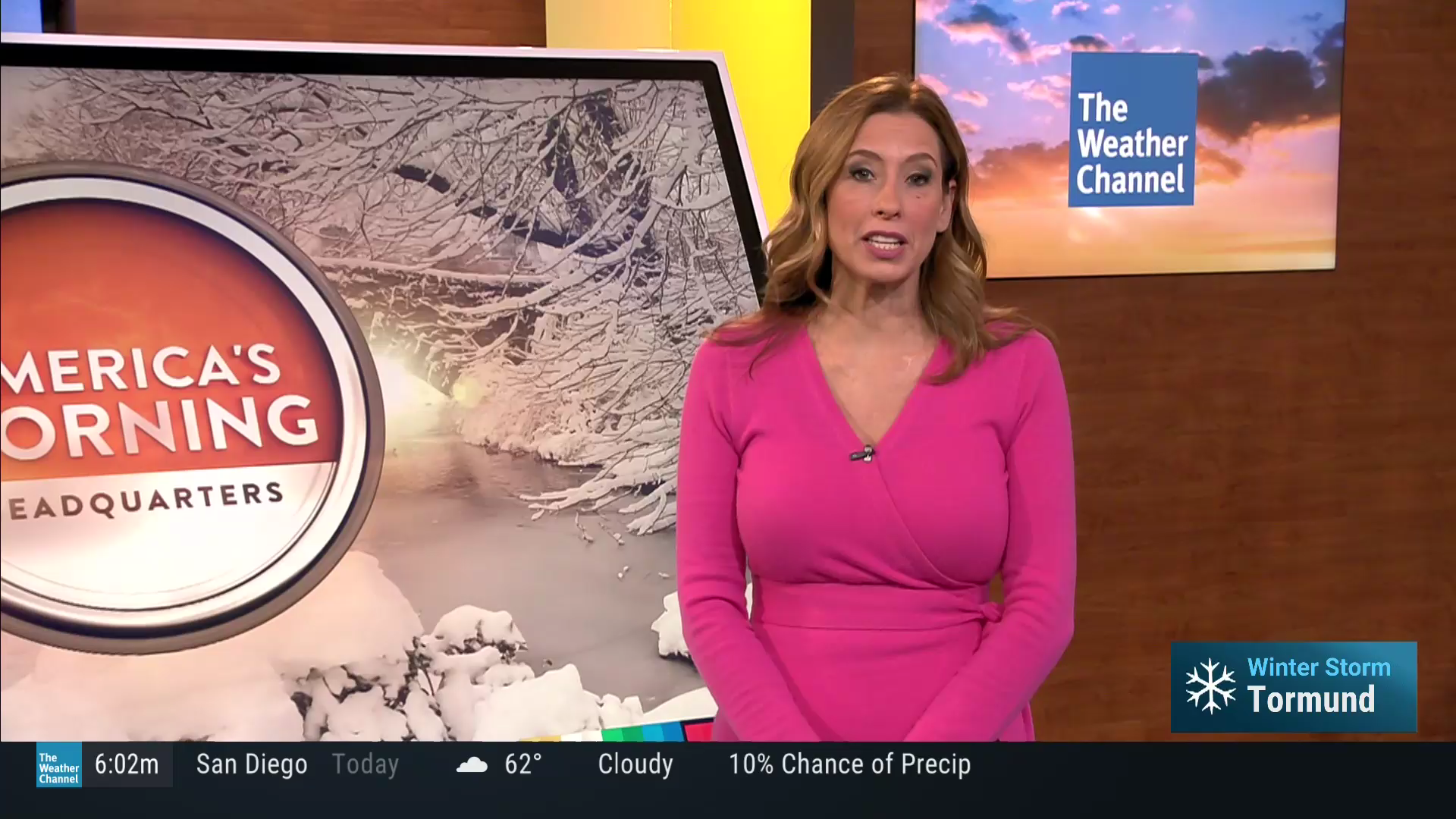 Stephanie Abrams (4/4/2024) — Newswomen