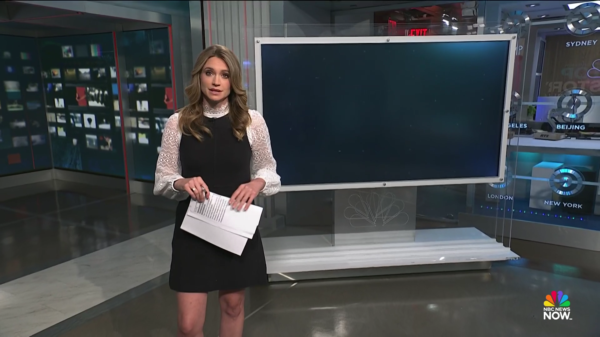 Ellison Barber (8/28/2024) — Newswomen