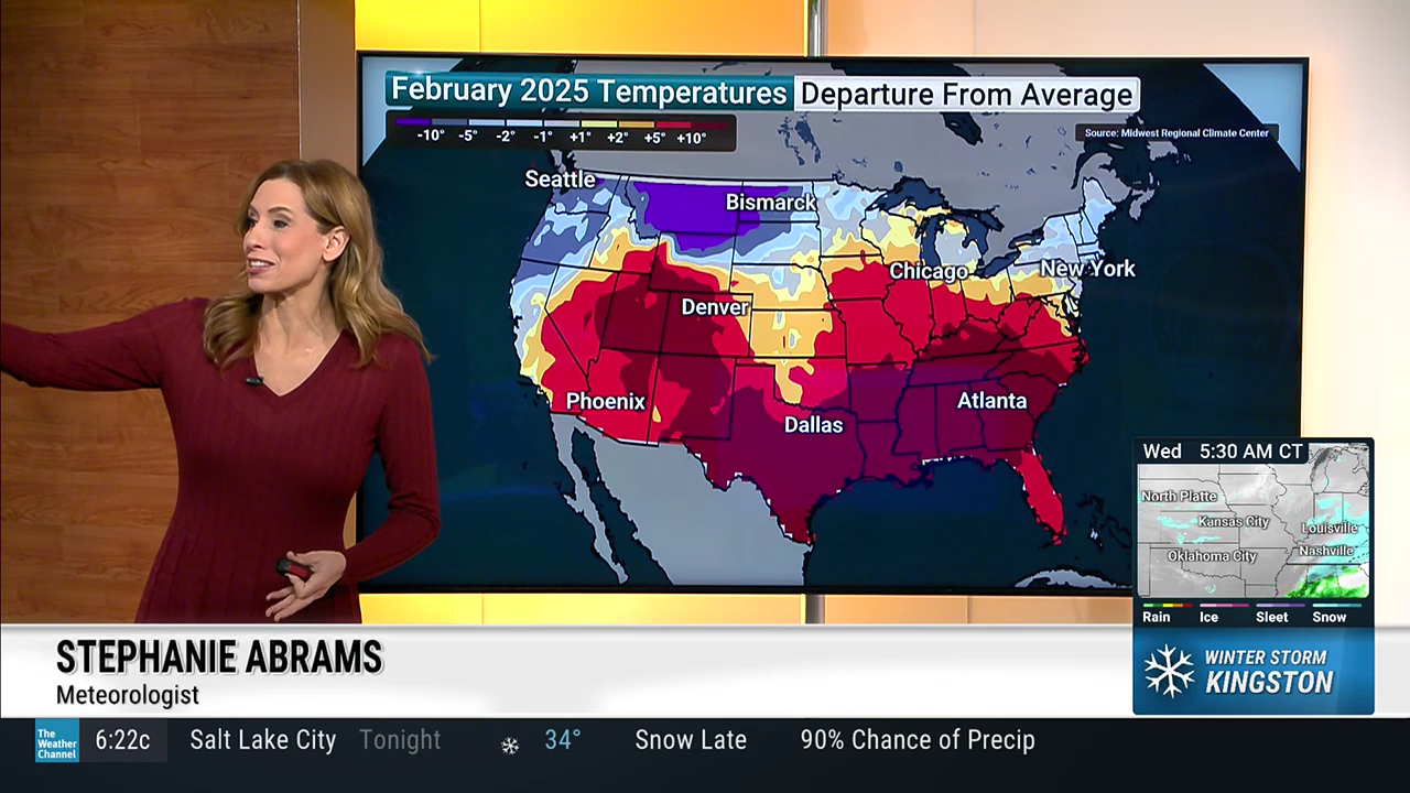Stephanie Abrams (2/19/2025) — Newswomen