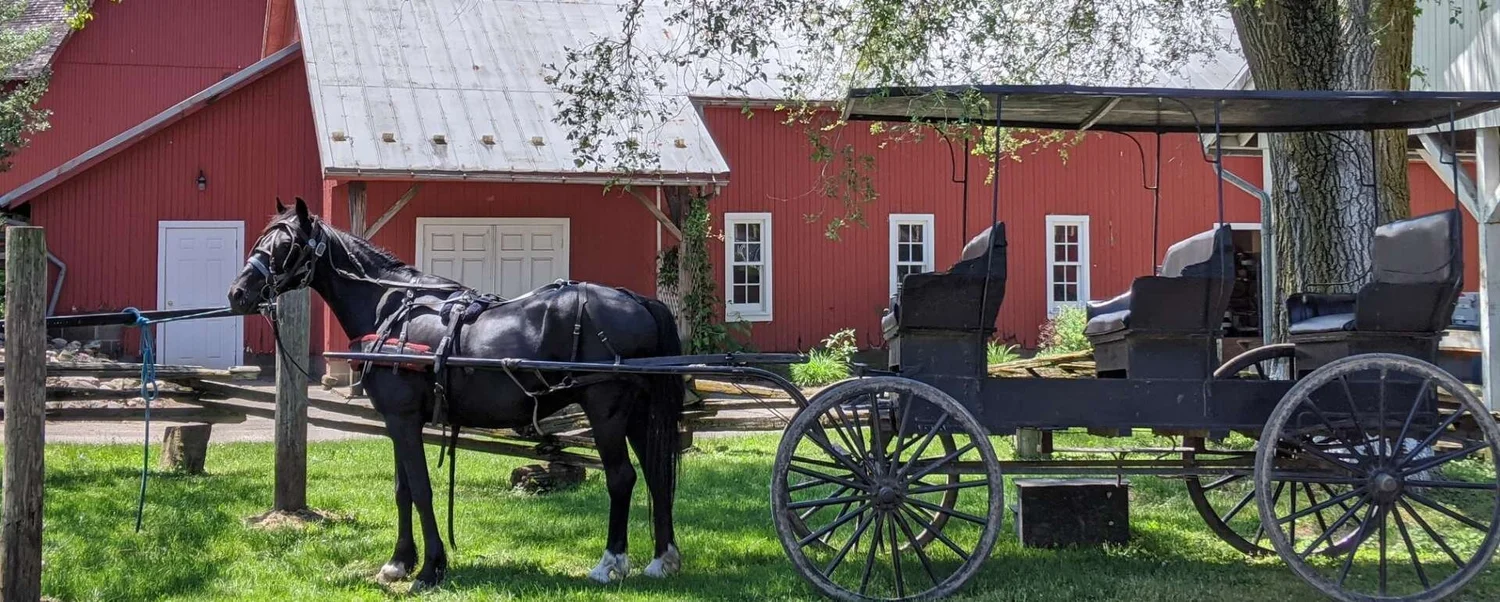 The Barns at Nappanee, Home of Amish Acres