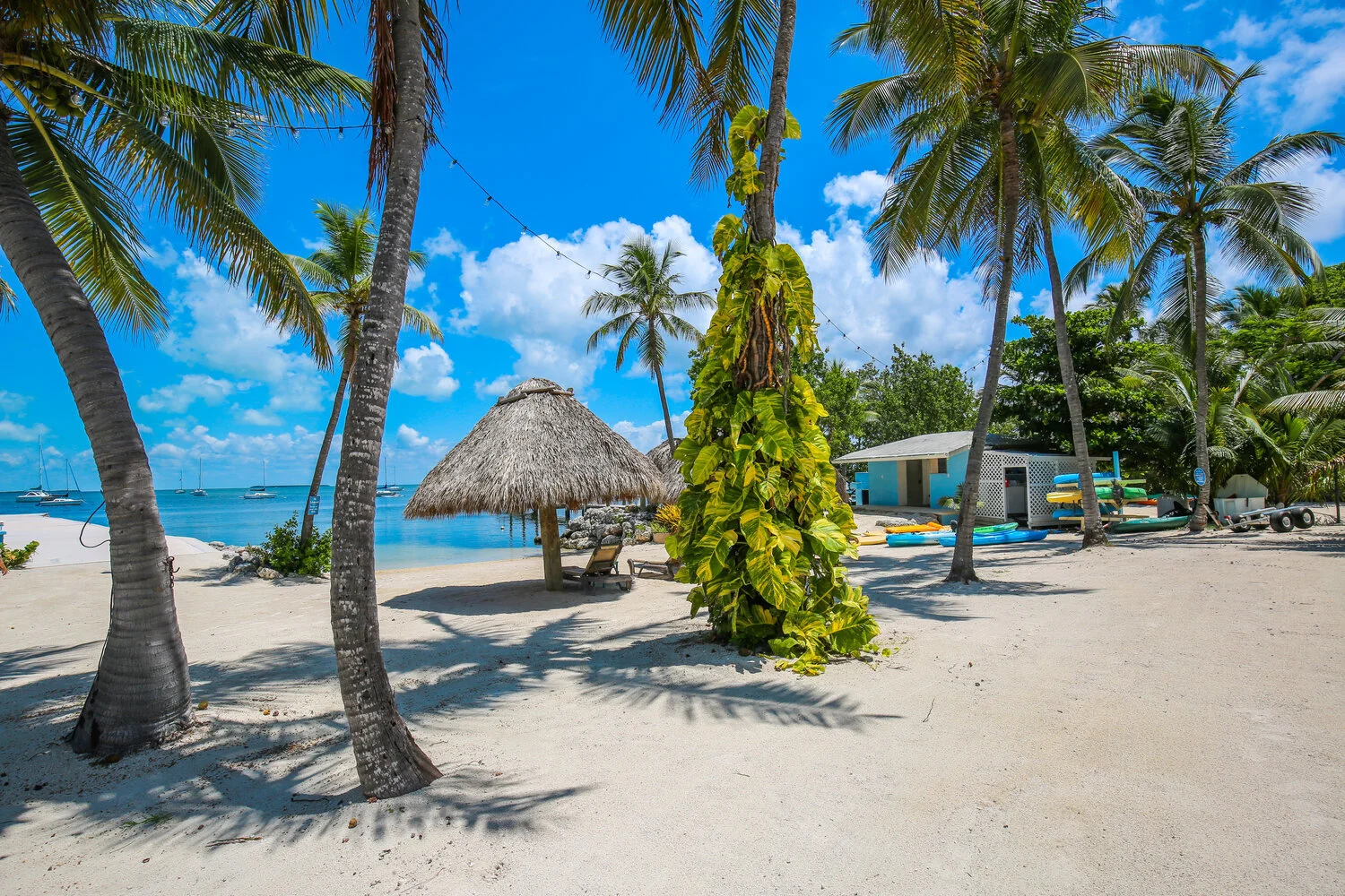 Vacation Resort Photo Gallery — Dream Bay Resort