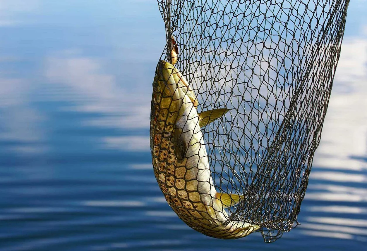 CABÜ BY THE LAKES — CABÜ | Holidays