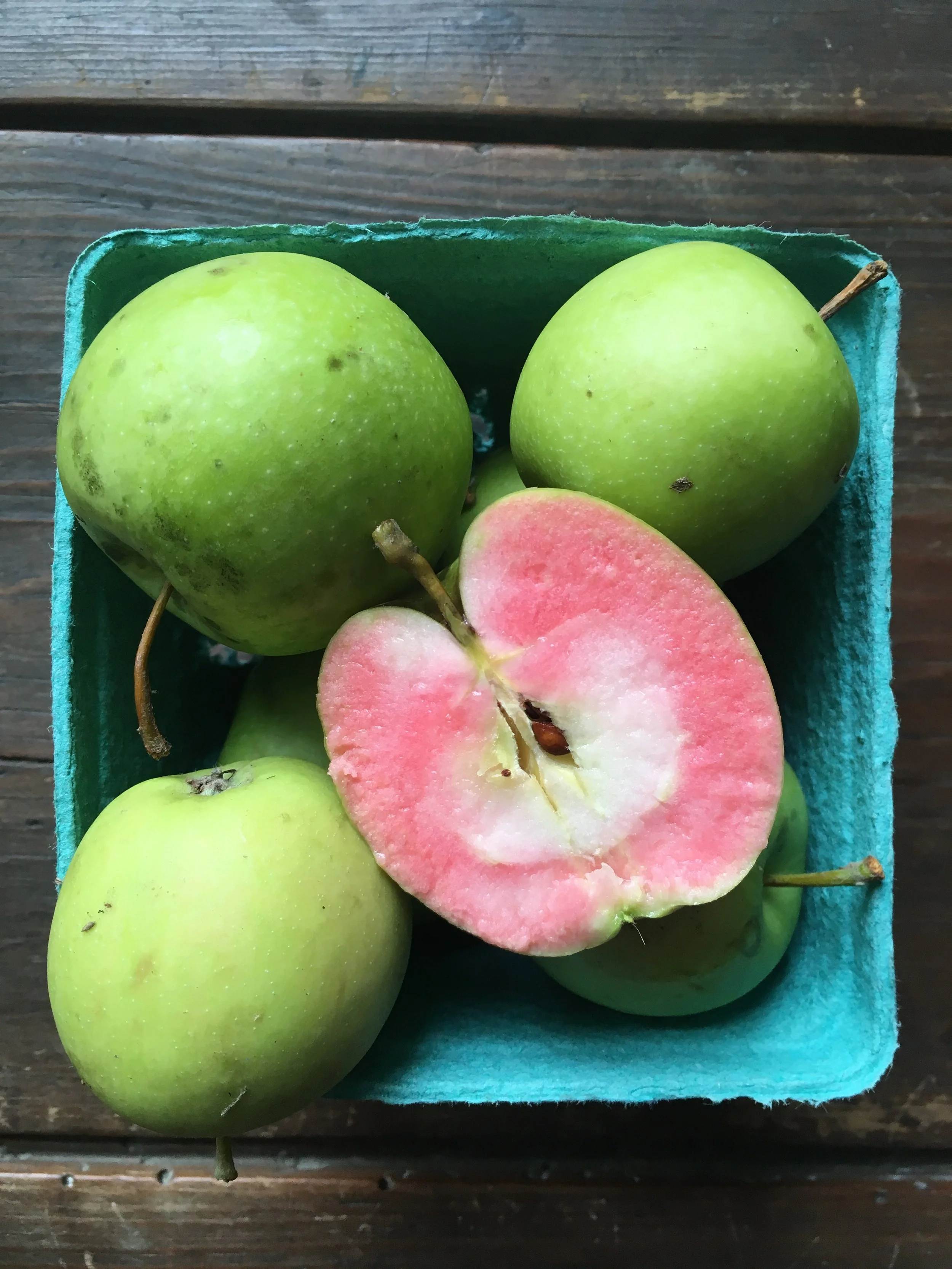 Hidden Rose — Bad Goose Farm + Nursery