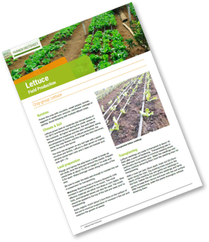 Integrated Crop Management in the Southern Philippines — Applied ...