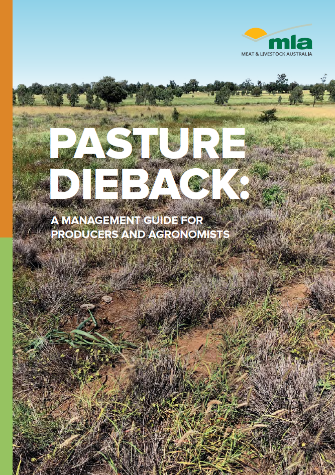 Pasture Dieback Guide 2024 — Applied Horticultural Research