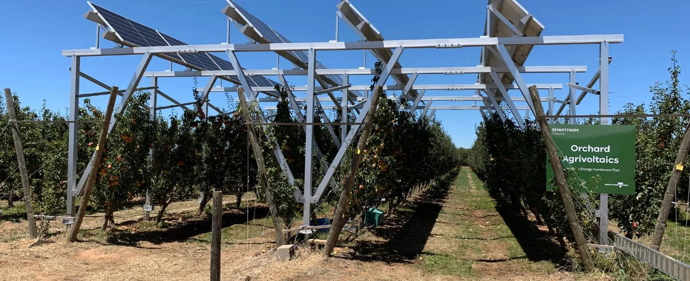 Growing horticulture through protected cropping innovation — Applied ...