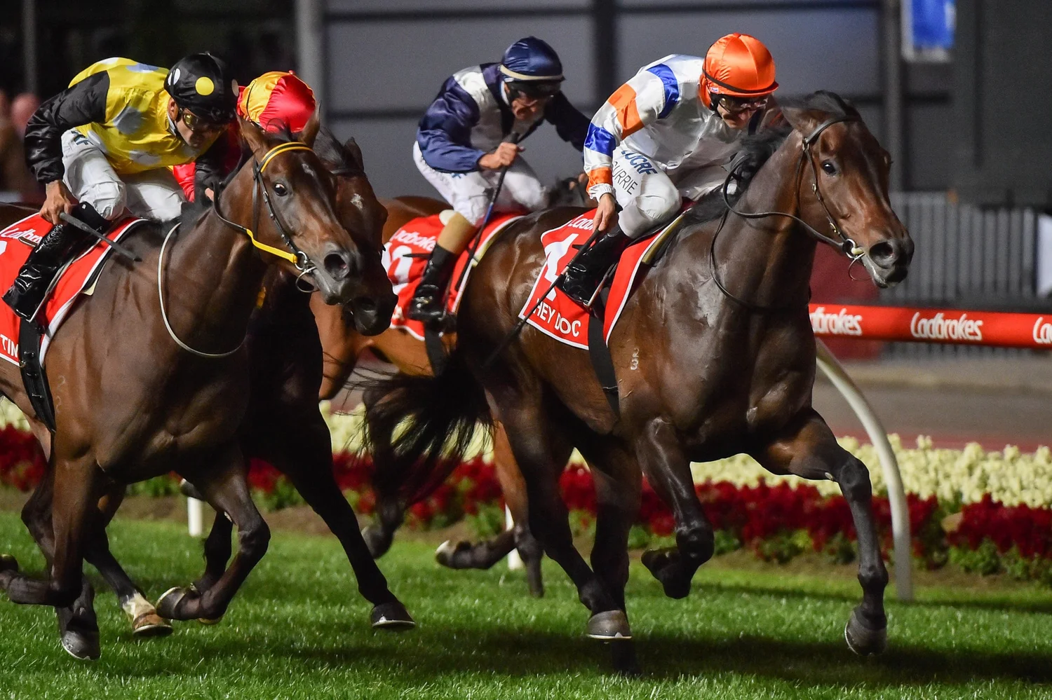 Ambassador Travel Services | Welcome to the World of Horse Racing